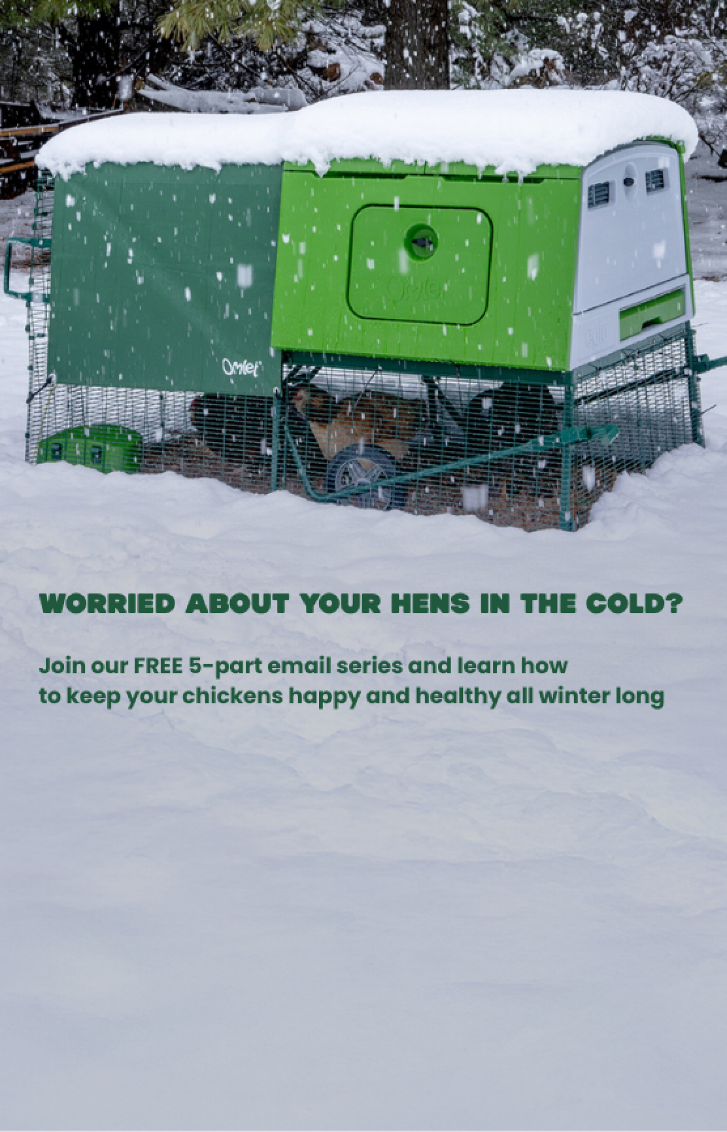 The Joys of Winter | Omlet