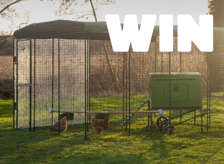 Win an Omlet Walk in Run with Covers | Omlet