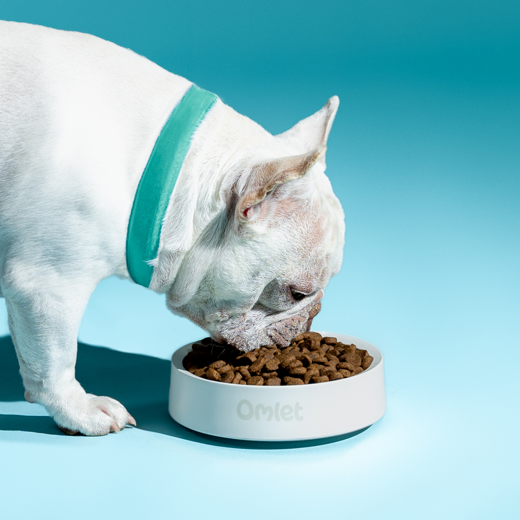 Omlet Dog Bowl Chalk - Large | Omlet