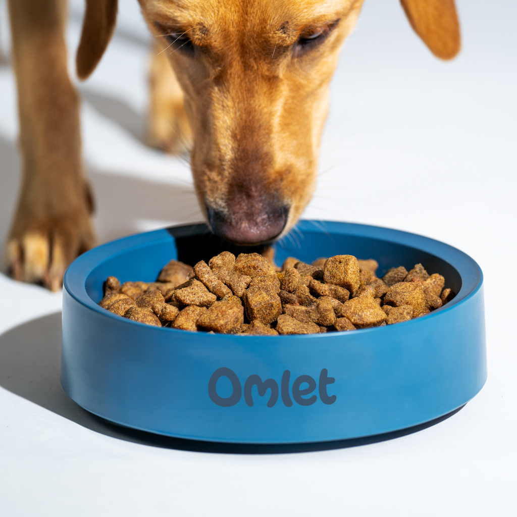Ciotola per cani di Omlet - Blu tempesta - Large | Omlet