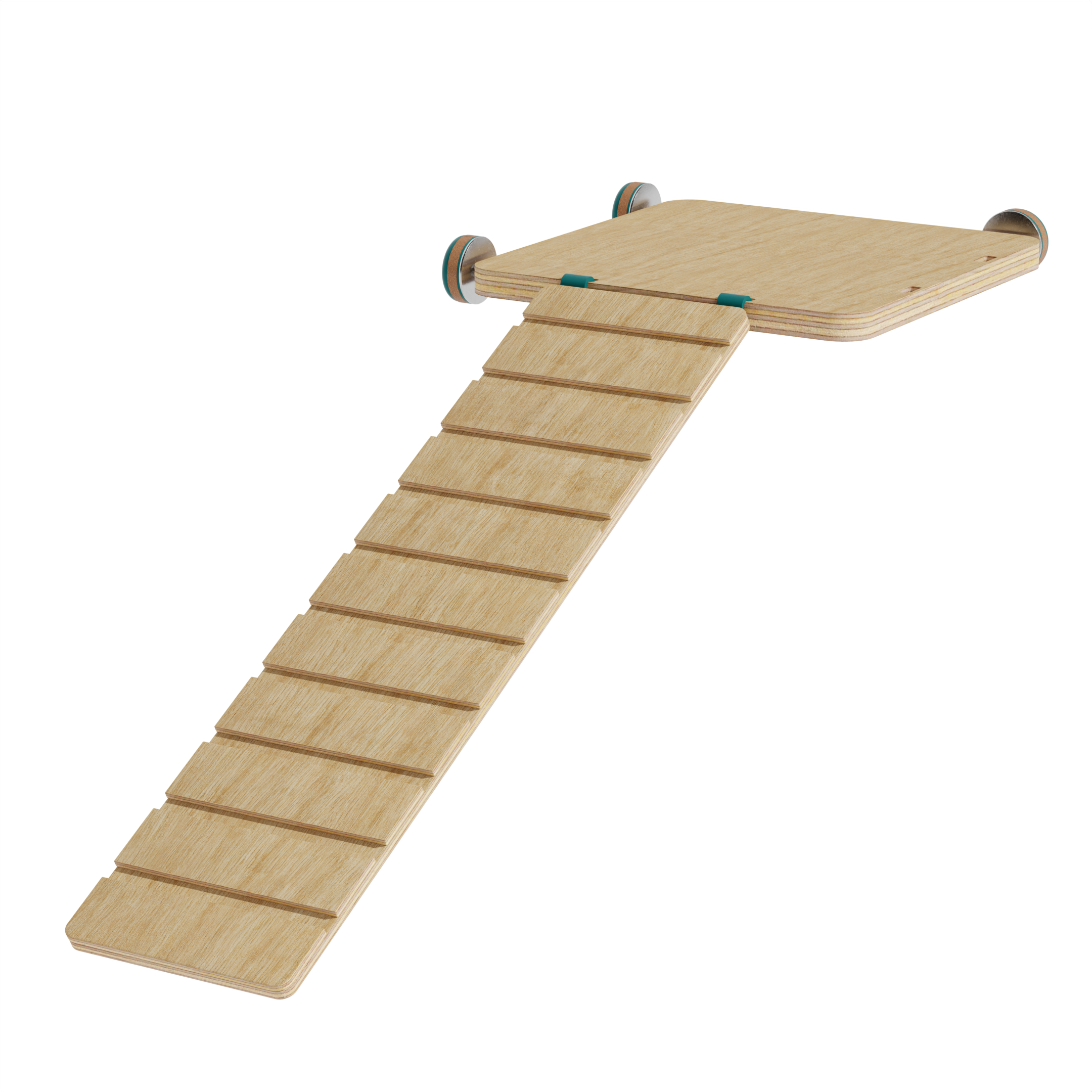 Starter Hamster Accessories Kit | Omlet