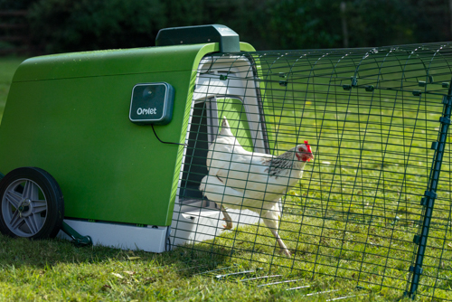 Smart Automatic Chicken Coop Door for Eglu Go Coops | Omlet