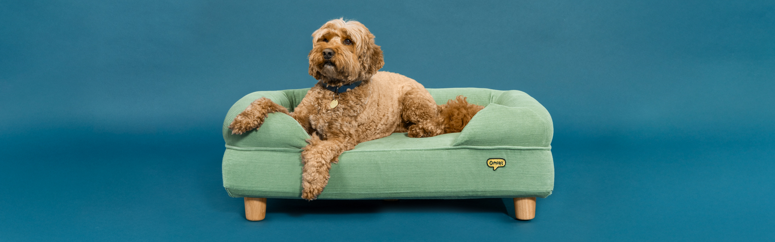Patterned Dog Beds | Omlet
