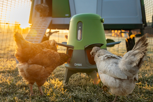 Omlet Automatic No Waste Chicken Feeder | Omlet