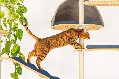 Customizable Freestyle Indoor Cat Tree | Omlet
