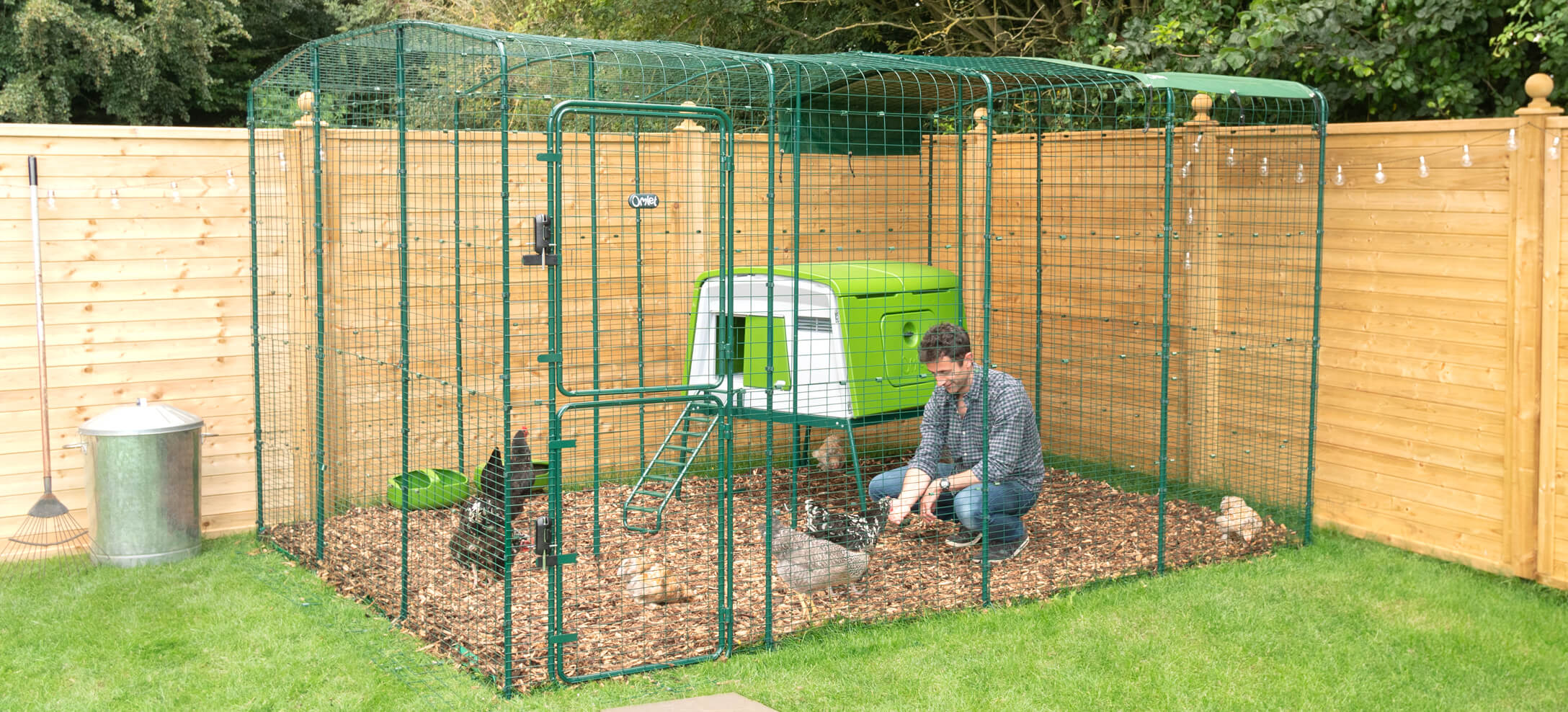 Large Walk in Chicken Runs | Omlet